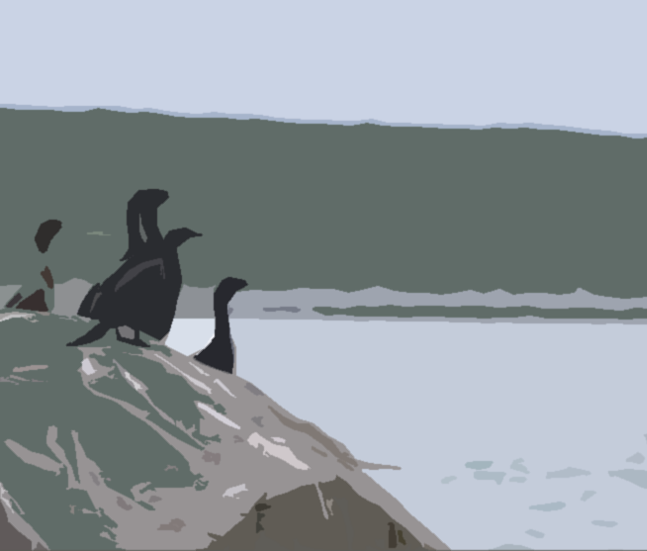 Contact – Mason Stothart, MSc, PhD