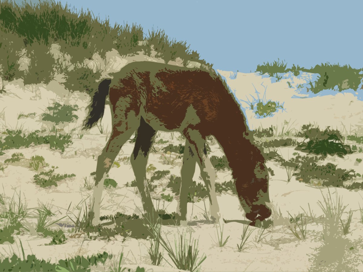 Research – Mason Stothart, MSc, PhD